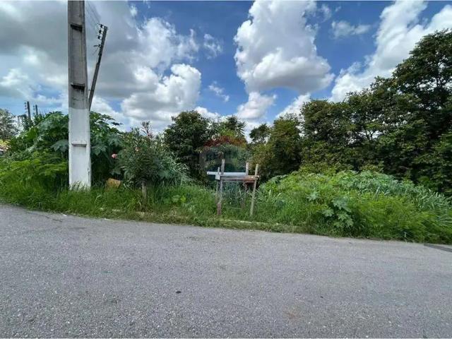 Terreno / Lote para Venda em Bragança Paulista/SP Vila São Caetano