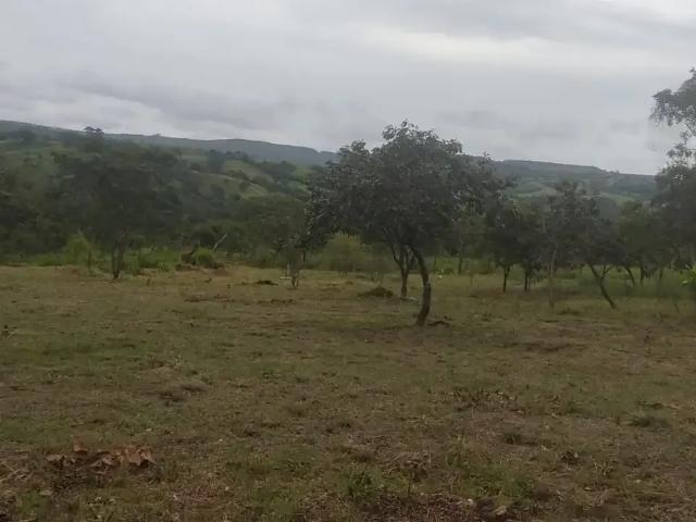 Terreno / Lote para Venda em Brasília/DF Área Rural do Gama