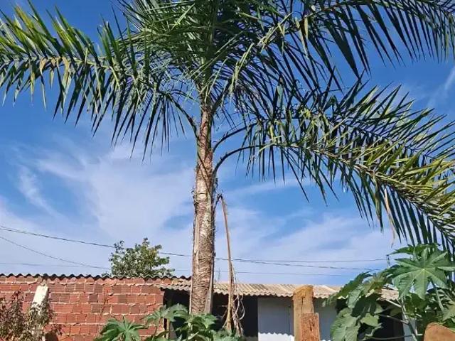 Terreno / Lote para Venda em Brasília/DF Fazenda Mestre D'Armas Etapa III Planaltina
