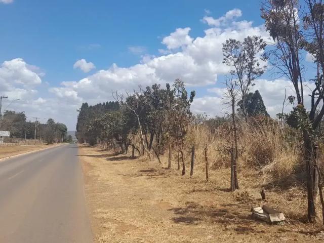 Terreno / Lote para Venda em Brasília/DF Ponte Alta Norte Gama