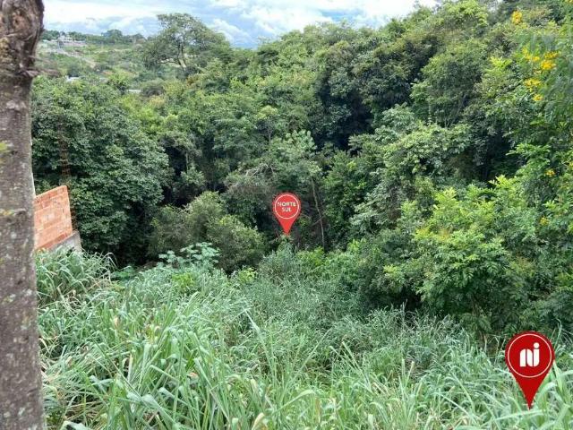 Terreno / Lote para Venda em Brumadinho/MG Carmo
