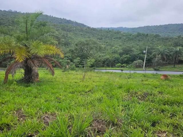 Terreno / Lote para Venda em Brumadinho/MG Casa Branca 1 Quartos