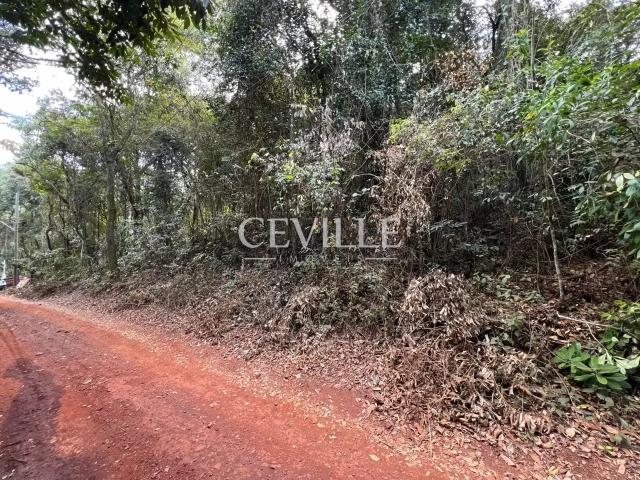 Terreno / Lote para Venda em Brumadinho/MG Casa Branca