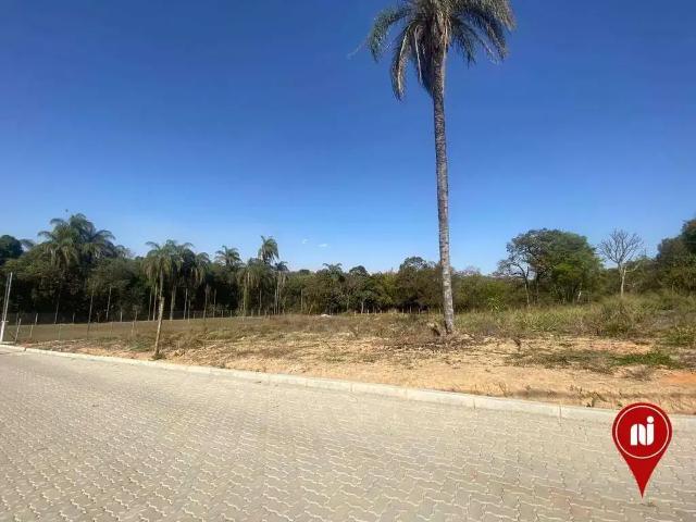Terreno / Lote para Venda em Brumadinho/MG Aranha