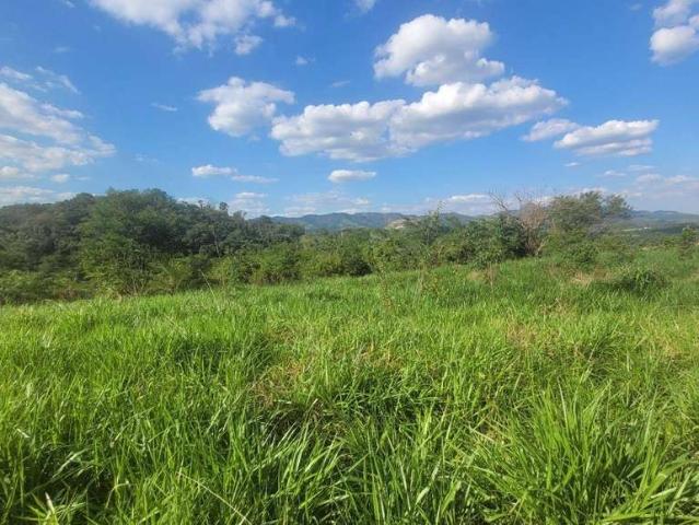 Terreno / Lote para Venda em Brumadinho/MG Novo Horizonte