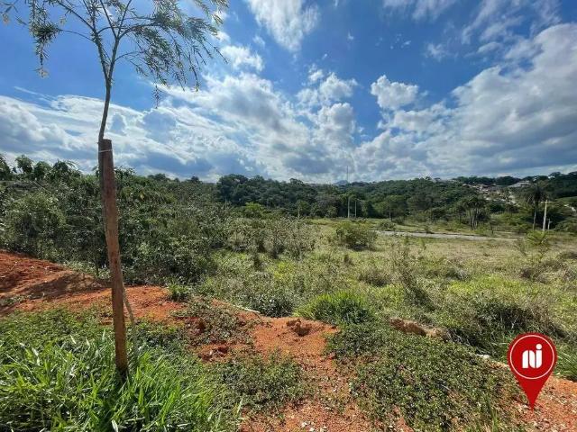 Terreno / Lote para Venda em Brumadinho/MG Novo Horizonte