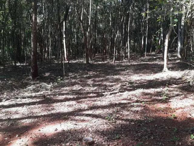 Terreno / Lote para Venda em Brumadinho/MG Palhano