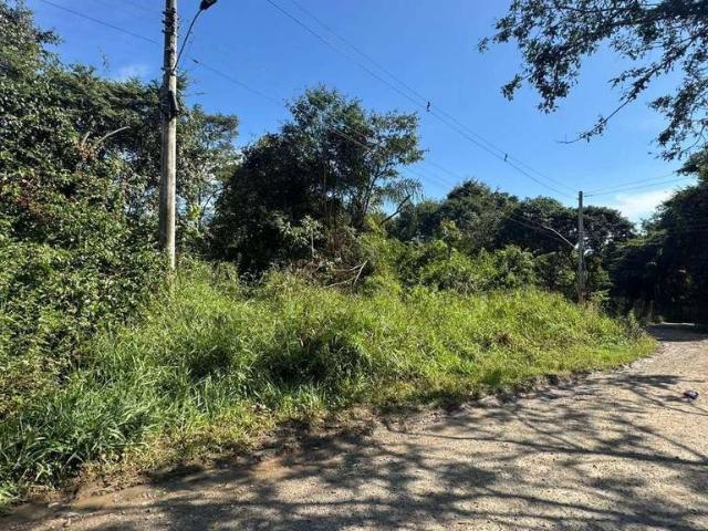 Terreno / Lote para Venda em Brumadinho/MG Parque do Lago