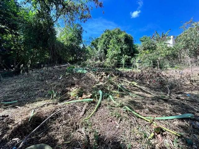 Terreno / Lote para Venda em Brumadinho/MG Planalto