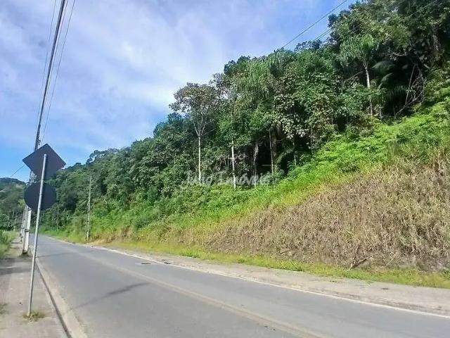 Terreno / Lote para Venda em Brusque/SC Cedro Alto
