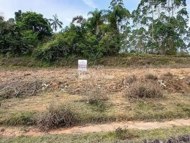 Terreno / Lote para Venda em Brusque/SC Cedro Alto