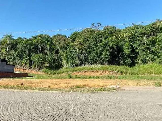 Terreno / Lote para Venda em Brusque/SC Cedro Alto