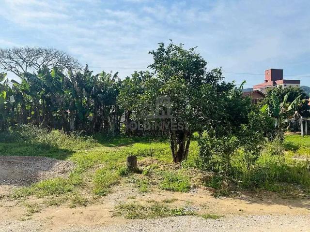 Terreno / Lote para Venda em Brusque/SC Águas Claras