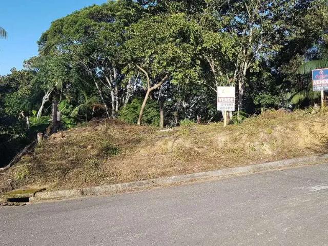 Terreno / Lote para Venda em Brusque/SC Azambuja