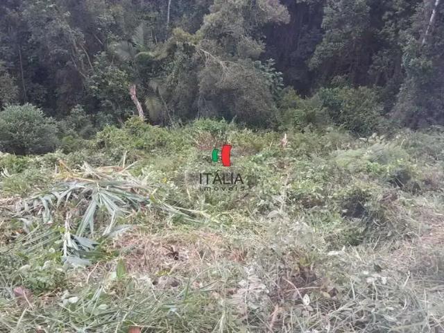 Terreno / Lote para Venda em Brusque/SC Azambuja