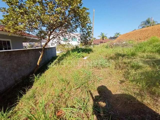 Terreno / Lote para Venda em Brusque/SC Azambuja