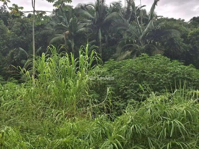 Terreno / Lote para Venda em Brusque/SC Bateas