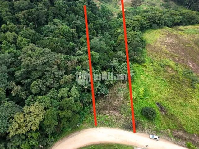Terreno / Lote para Venda em Brusque/SC Bateas