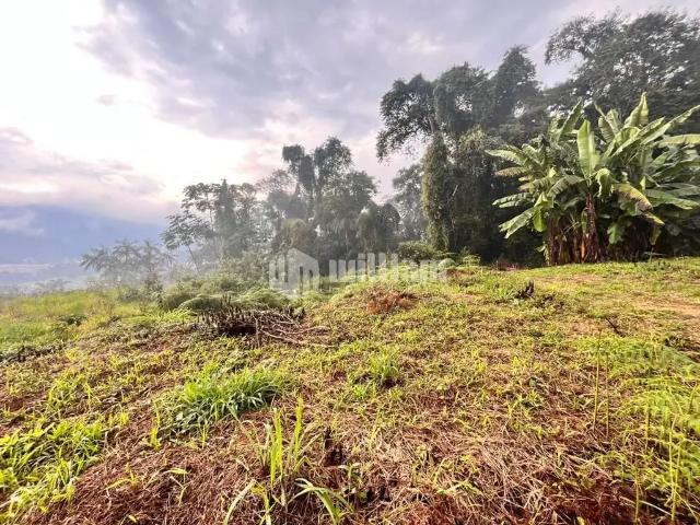 Terreno / Lote para Venda em Brusque/SC Guarani