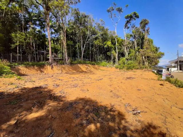 Terreno / Lote para Venda em Brusque/SC Guarani