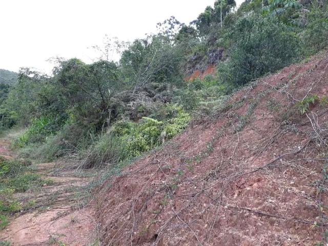 Terreno / Lote para Venda em Brusque/SC Dom Joaquim