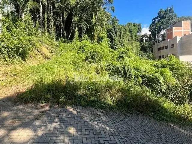 Terreno / Lote para Venda em Brusque/SC Dom Joaquim