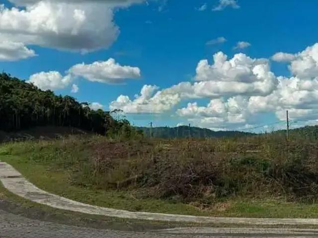 Terreno / Lote para Venda em Brusque/SC Dom Joaquim