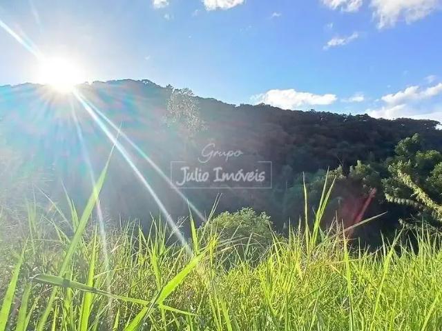Terreno / Lote para Venda em Brusque/SC Limeira Baixa