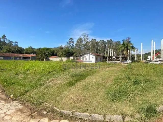 Terreno / Lote para Venda em Brusque/SC Limeira Baixa