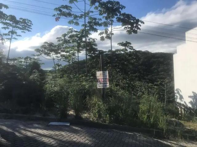 Terreno / Lote para Venda em Brusque/SC Limeira Baixa
