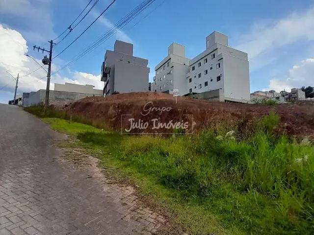 Terreno / Lote para Venda em Brusque/SC Limeira Baixa