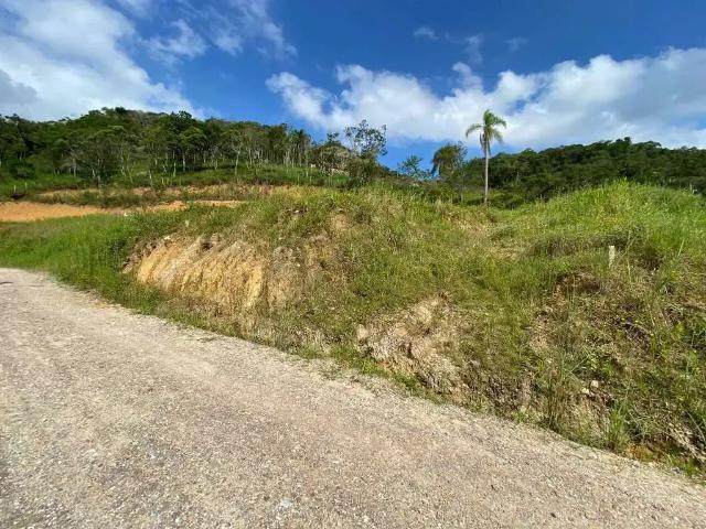 Terreno / Lote para Venda em Brusque/SC Limeira Baixa