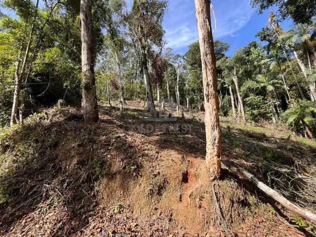 Terreno / Lote para Venda em Brusque/SC São Pedro