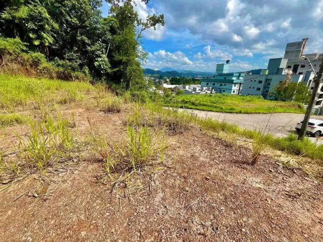 Terreno / Lote para Venda em Brusque/SC Souza Cruz