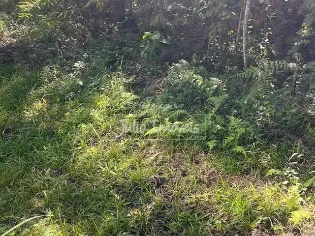 Terreno / Lote para Venda em Brusque/SC Souza Cruz