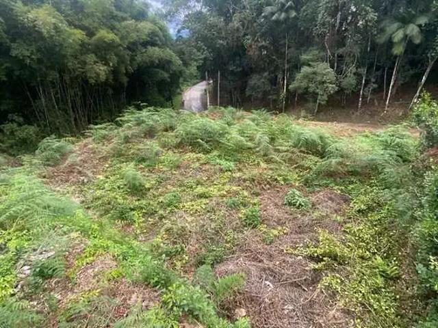 Terreno / Lote para Venda em Brusque/SC Souza Cruz
