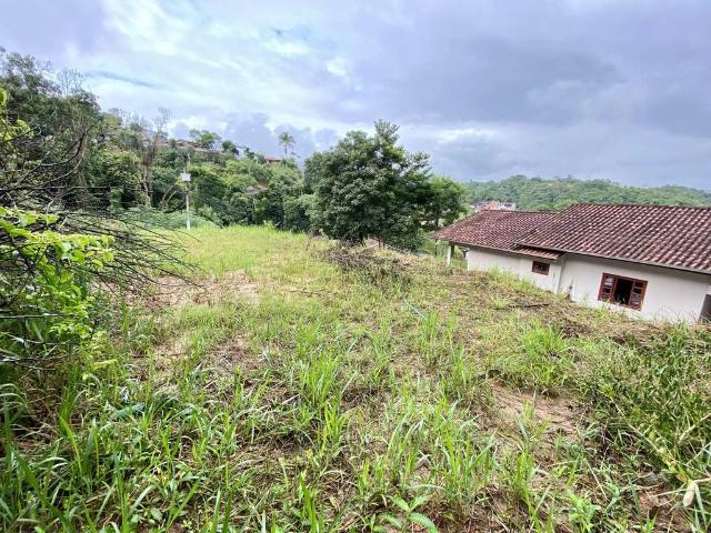 Terreno / Lote para Venda em Brusque/SC Souza Cruz