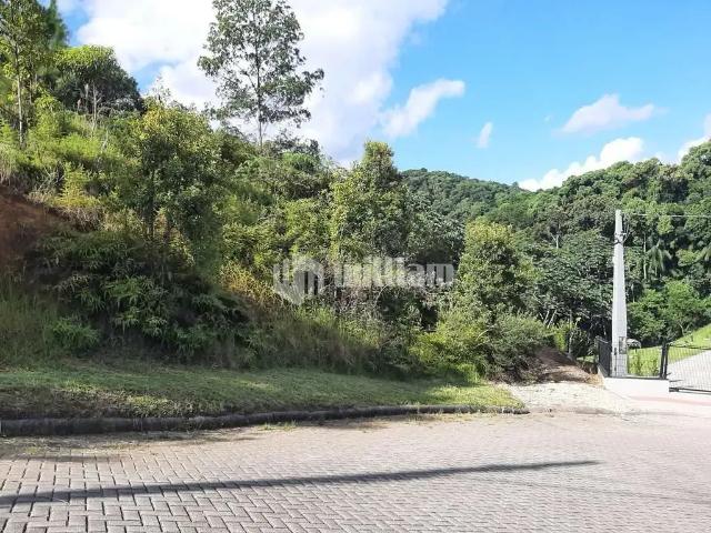 Terreno / Lote para Venda em Brusque/SC Souza Cruz
