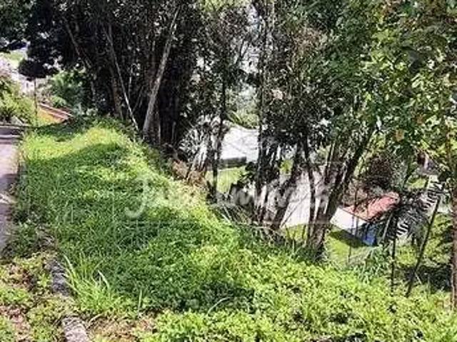 Terreno / Lote para Venda em Brusque/SC Souza Cruz