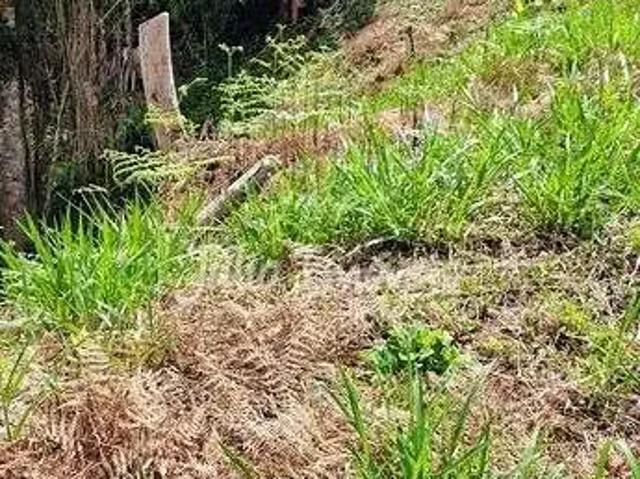 Terreno / Lote para Venda em Brusque/SC Souza Cruz