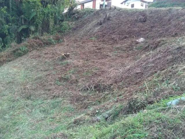 Terreno / Lote para Venda em Brusque/SC Souza Cruz