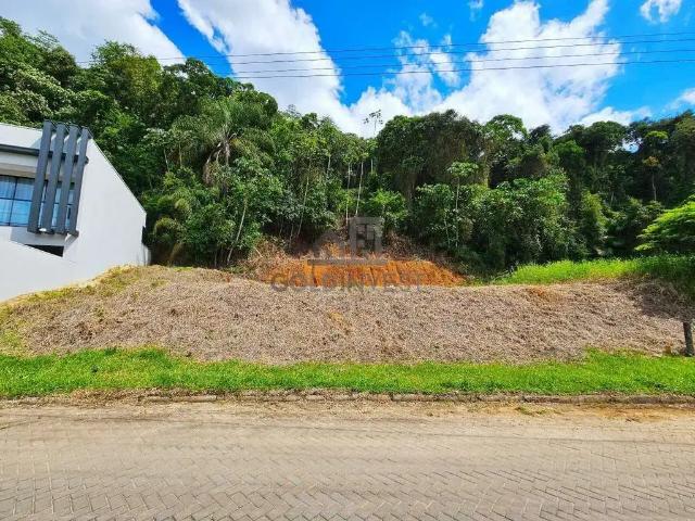Terreno / Lote para Venda em Brusque/SC Souza Cruz