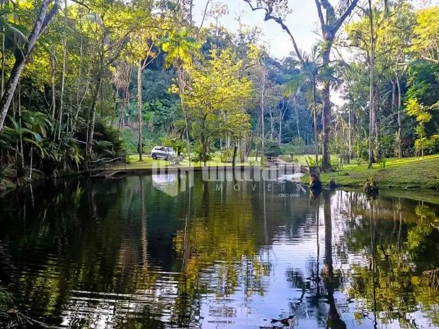 Terreno / Lote para Venda em Brusque/SC Souza Cruz