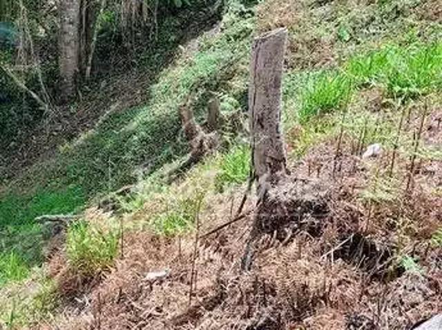 Terreno / Lote para Venda em Brusque/SC Souza Cruz