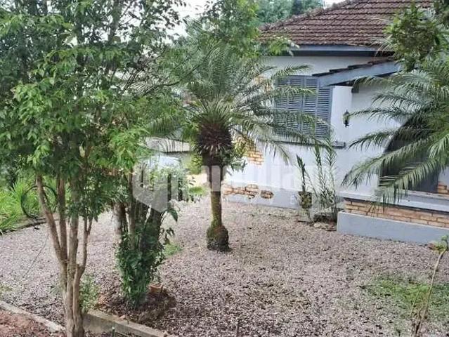 Terreno / Lote para Venda em Brusque/SC Souza Cruz