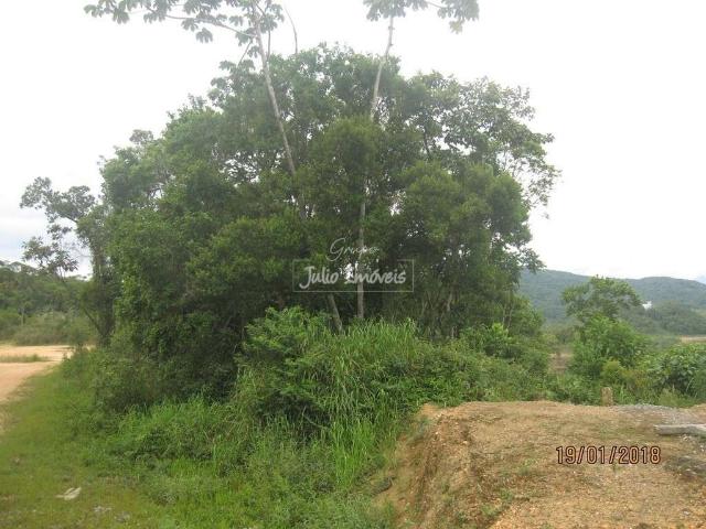 Terreno / Lote para Venda em Brusque/SC Souza Cruz