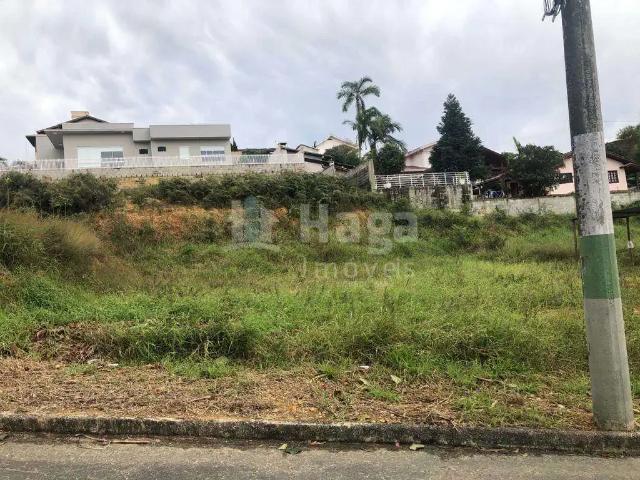 Terreno / Lote para Venda em Brusque/SC Souza Cruz