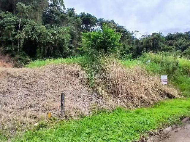 Terreno / Lote para Venda em Brusque/SC Souza Cruz