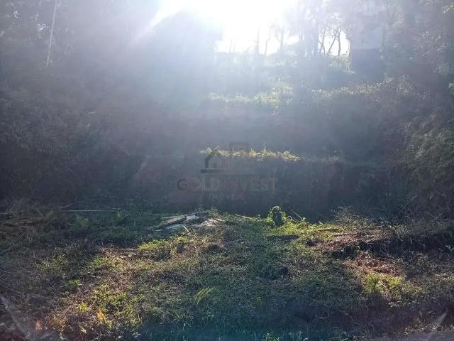 Terreno / Lote para Venda em Brusque/SC Souza Cruz