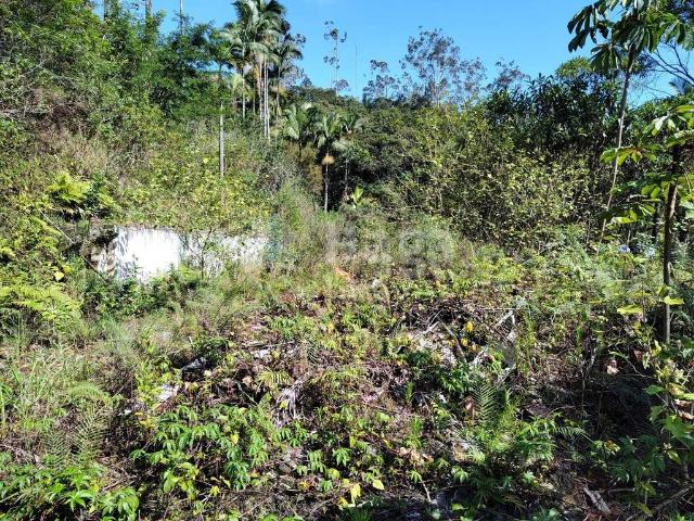 Terreno / Lote para Venda em Primeiro de Maio/PR Centro